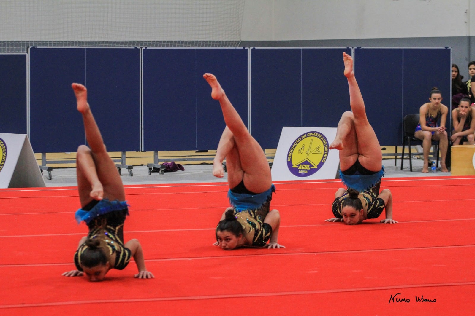 EGFA Cup - Leiria Desporto