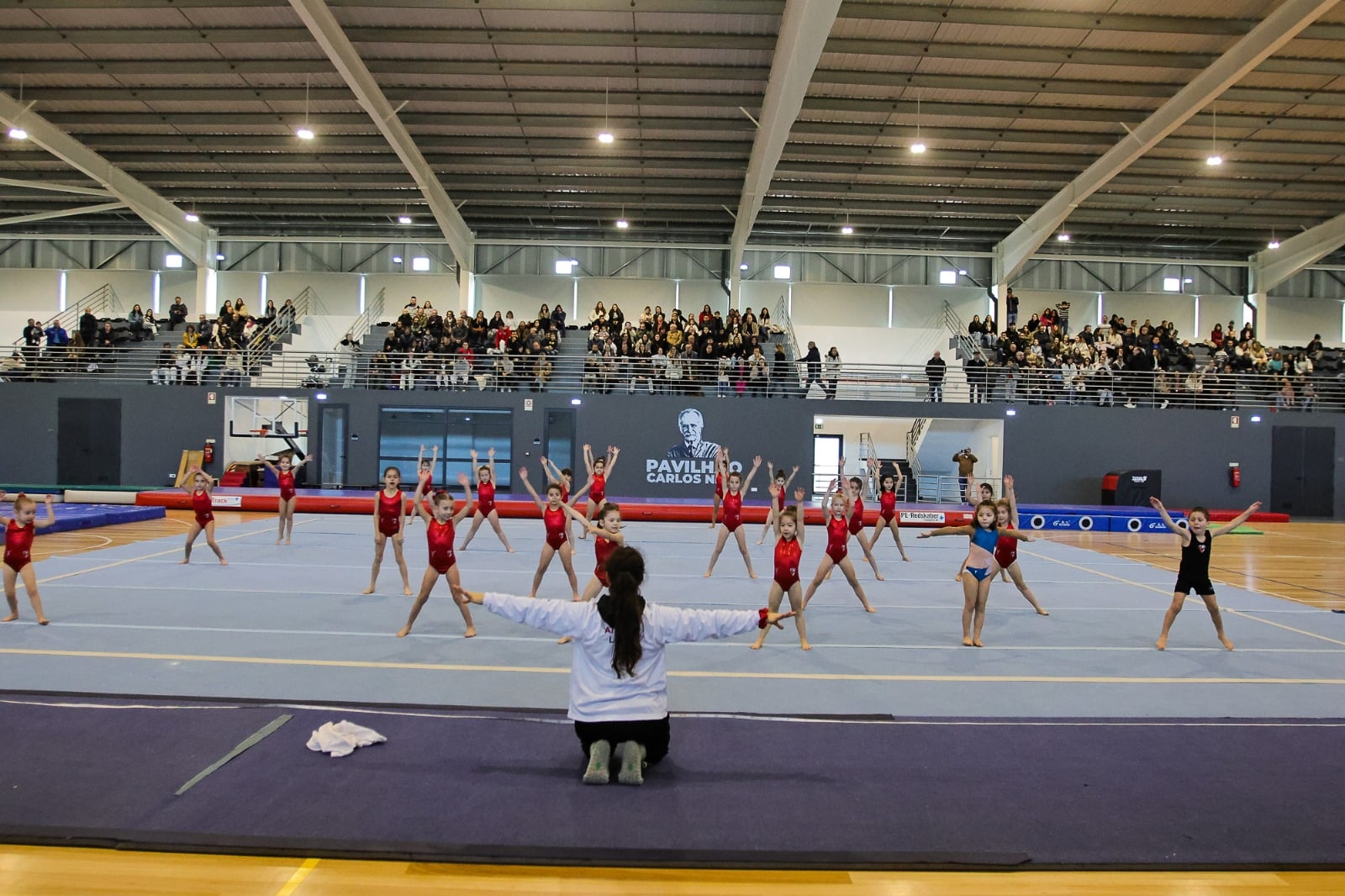 Carlos Neto: um pavilhão, uma inspiração - Leiria Desporto